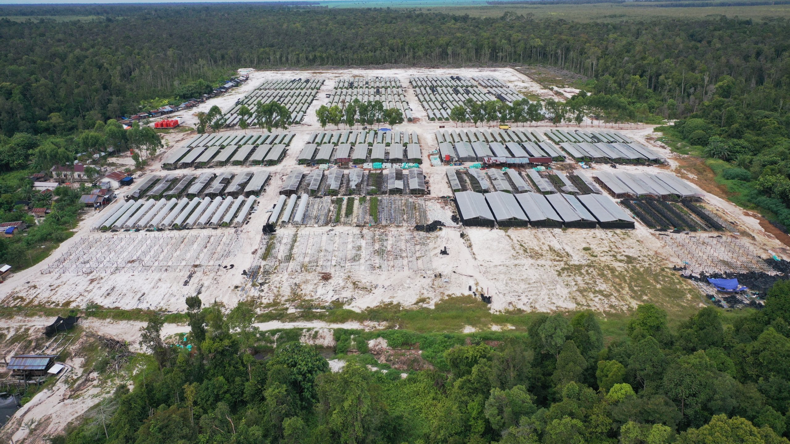 Tentang Kami – PT Industrial Forest Plantation